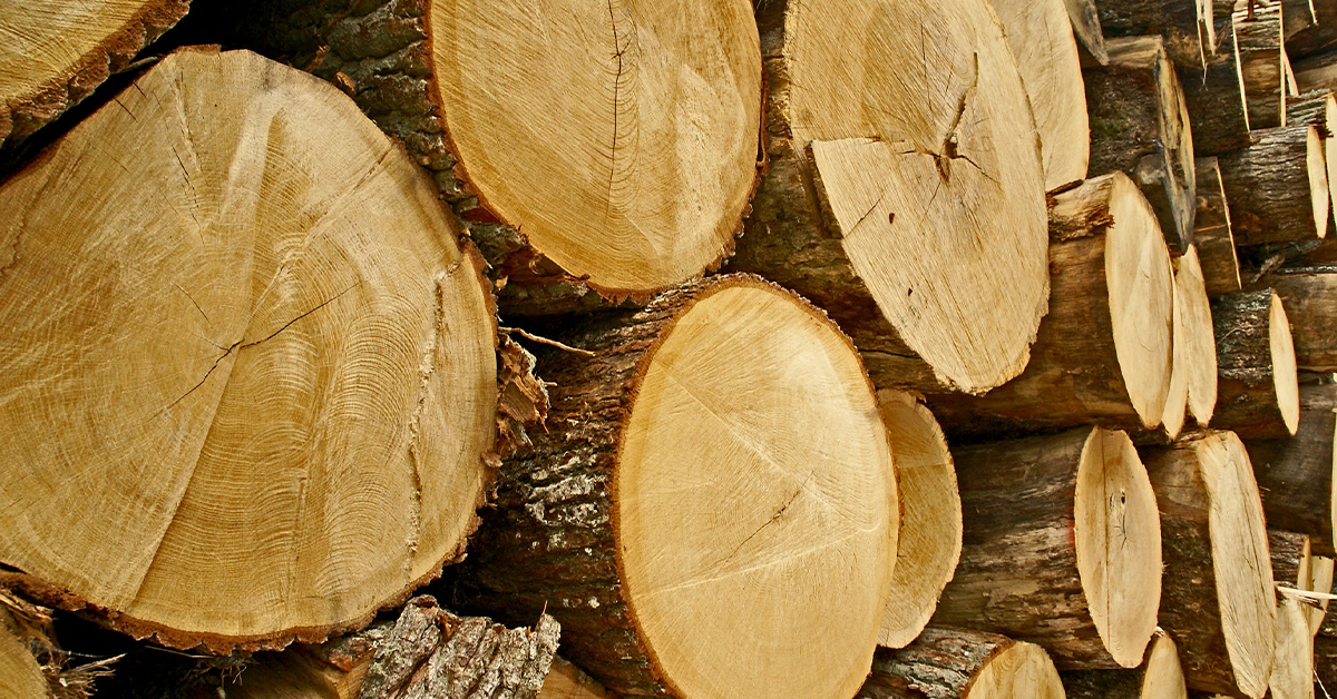 Madera de innovación con valores sólidamente arraigados | Grupo Gámiz