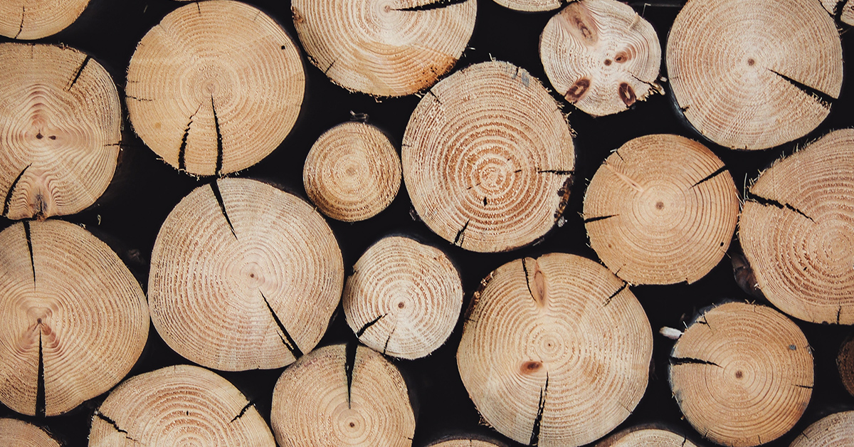 Maderas de calidad extra - Tesoro natural | Grupo Gámiz