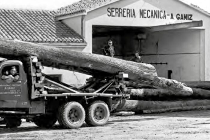 Quality wood suppliers since 1942 | Grupo Gámiz