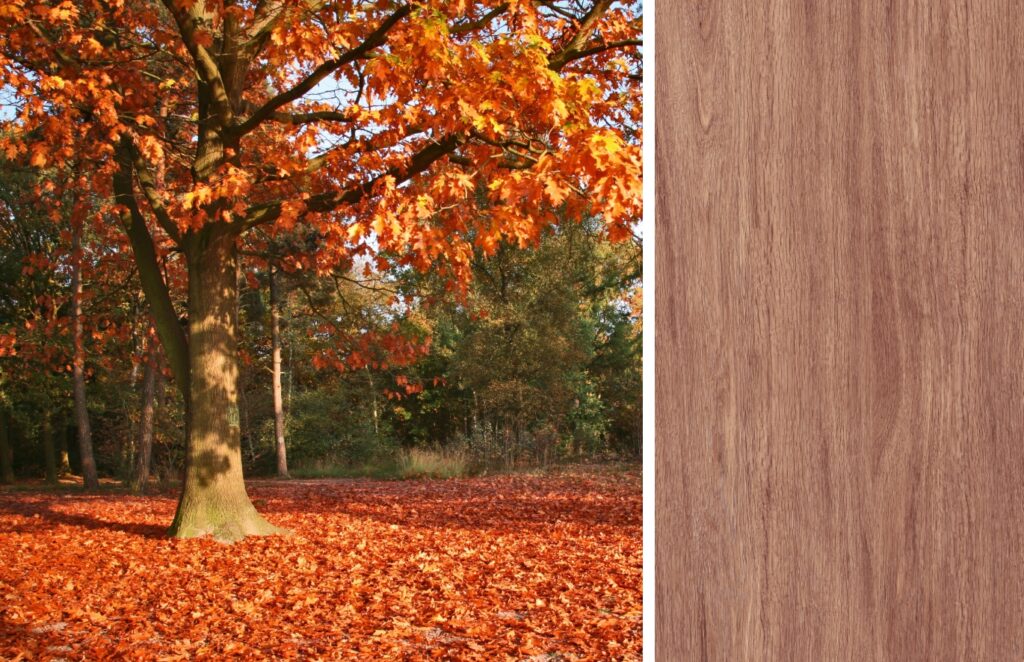 Maderas de calidad para empresas industriales | Grupo Gámiz